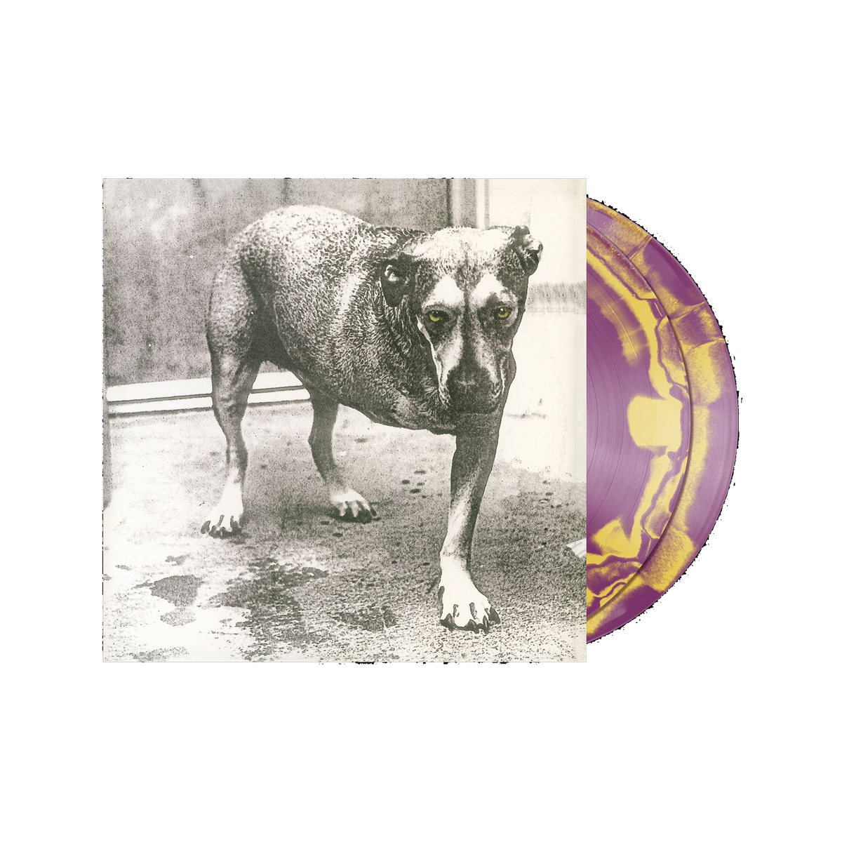Self-Titled D2C Exclusive Vinyl – Alice in Chains UK